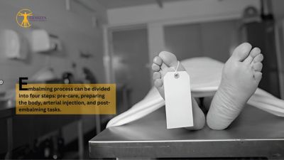 What Does Embalming Fluid Do? Its Function and Injection Procedure ...