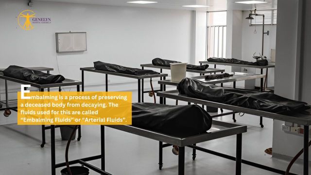 What Does Embalming Fluid Do? Its Function and Injection Procedure ...